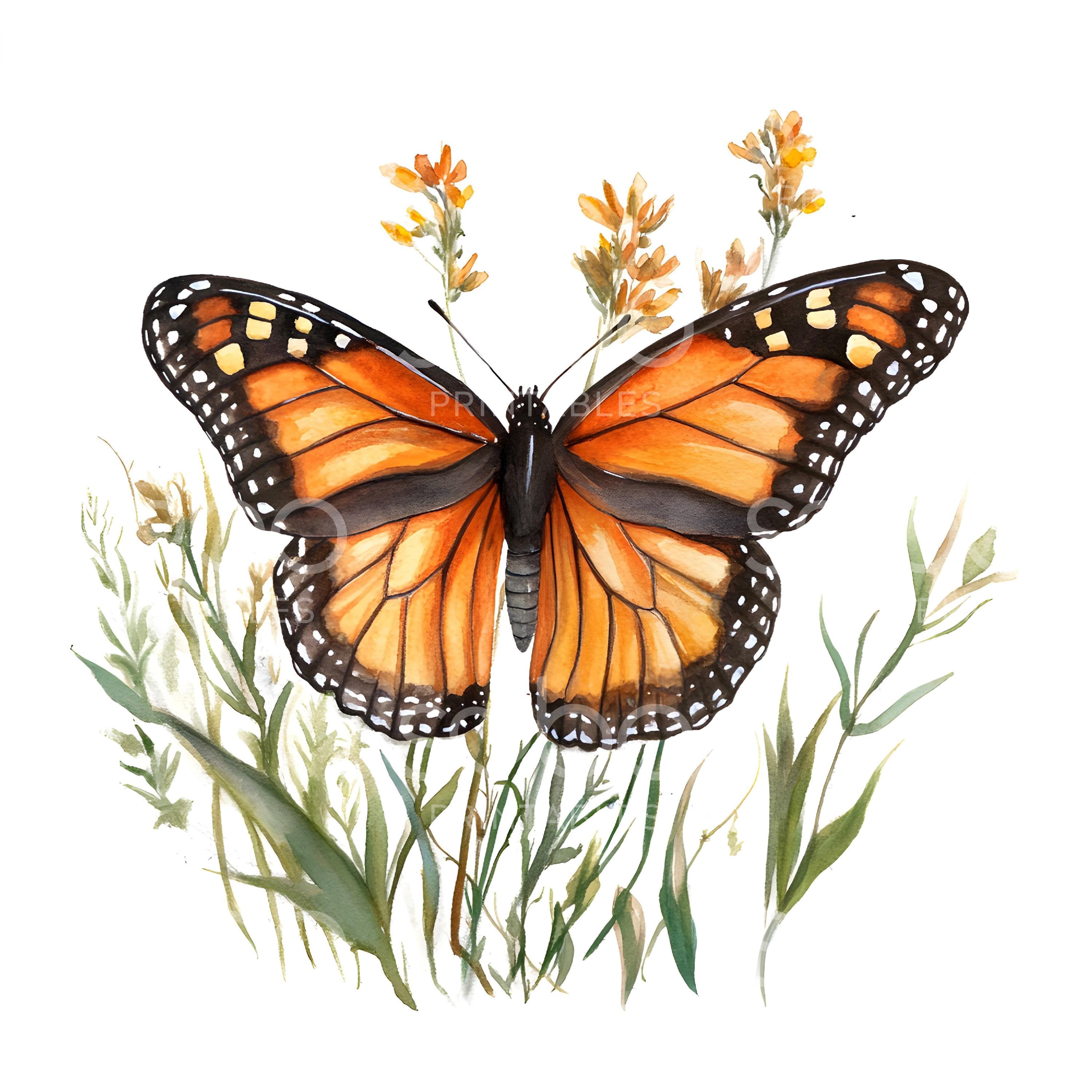 22 Monarch Butterfly Clipart, Floral Butterfly, Printable Watercolor ...