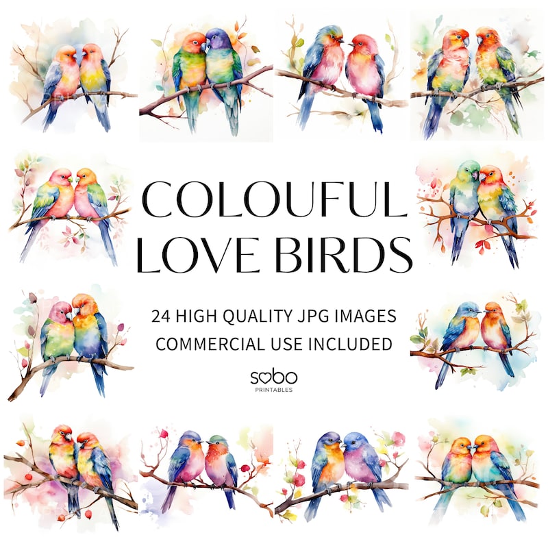 Rainbow Love Birds - Etsy