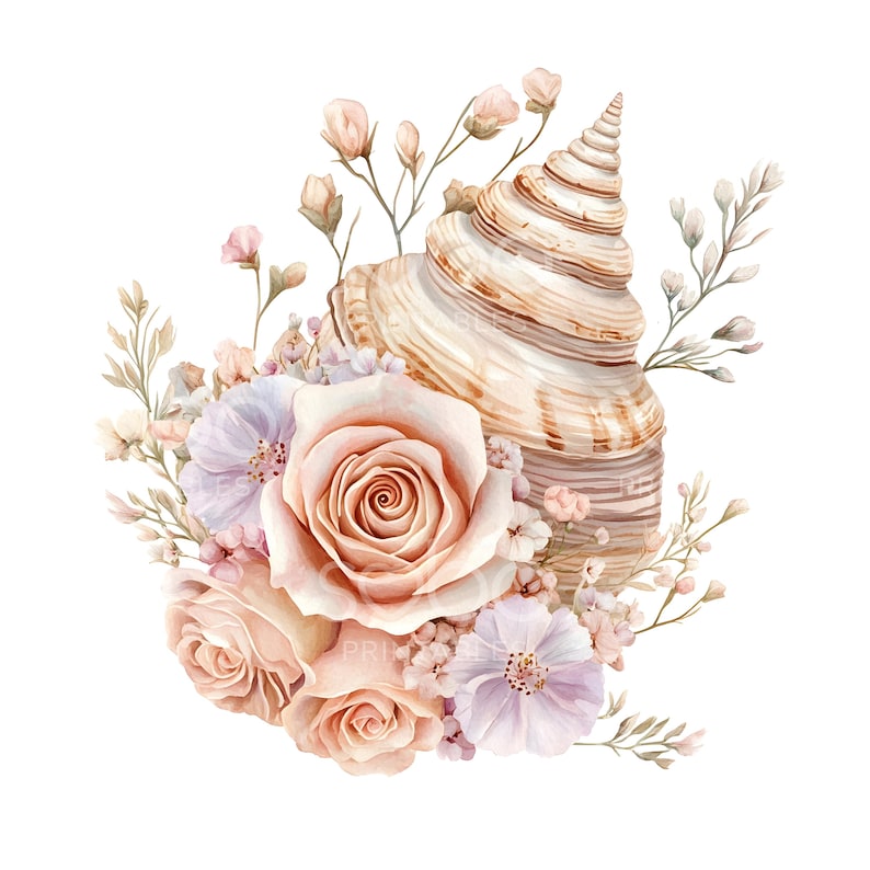 18 Floral Rose Sea Shell Clipart, Seashell Art, Printable Watercolor ...
