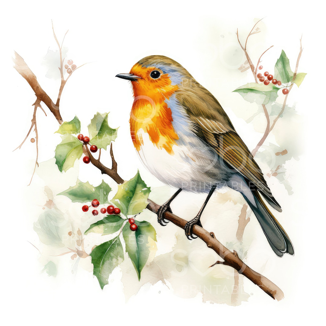 Robin Clipart - 10 High Quality Jpgs, Digital Download, Junk Journal ...