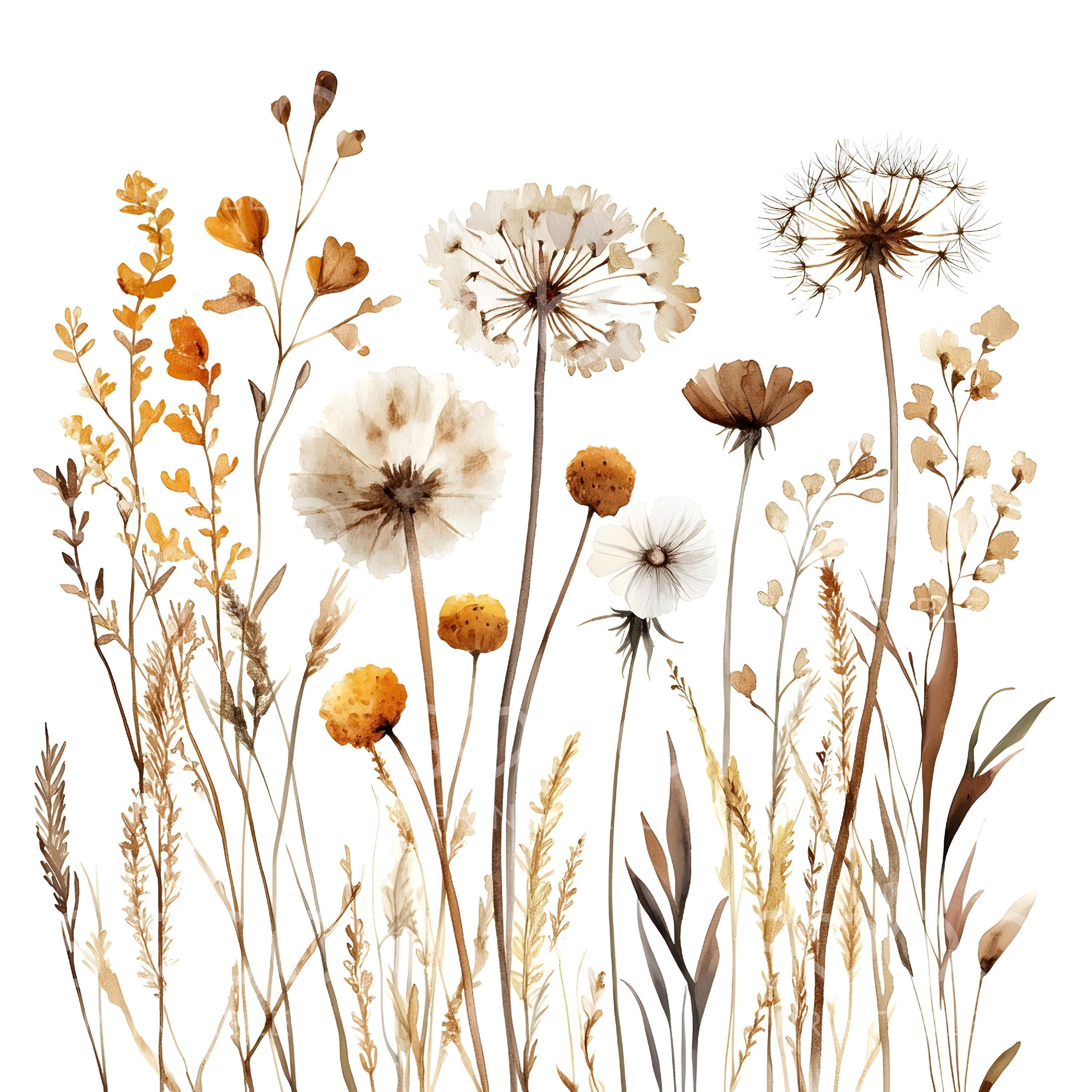 18 Boho Flowers Bouquet Clipart, Pampas, Dried Flowers Wall Art ...