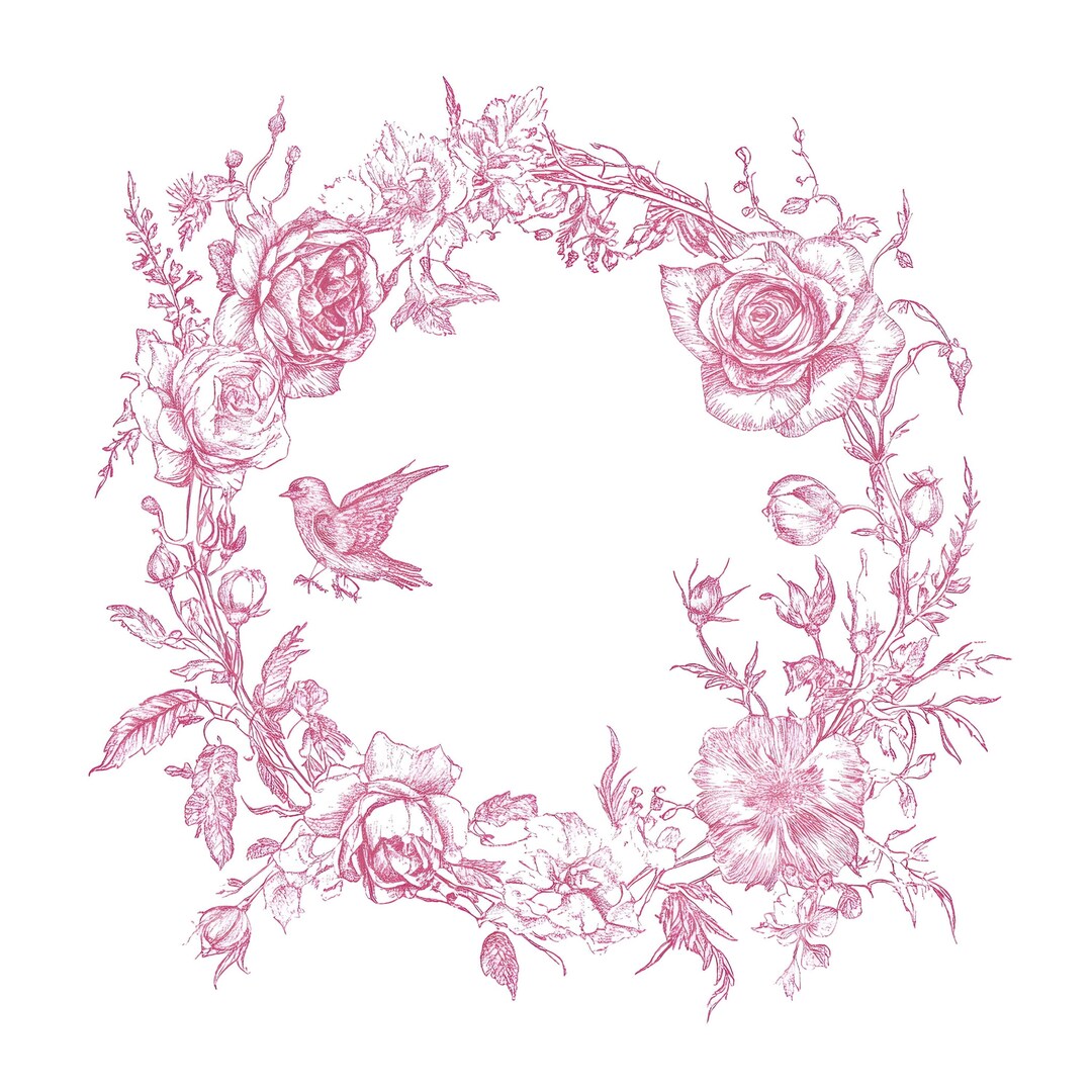 20 Pink Toile Frame Clipart, French Toil De Jouy, Chinoiserie Frames ...