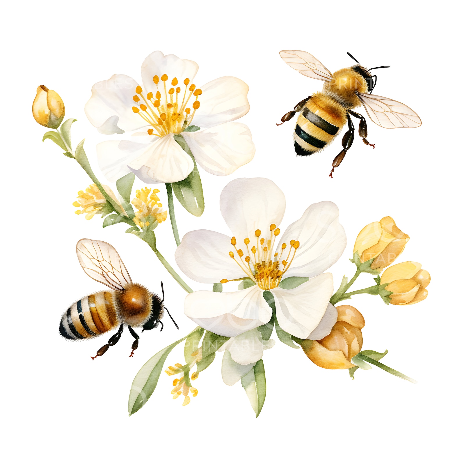 16 Bees in Flowers Clipart, Bees Clipart, Printable Watercolor Clipart ...