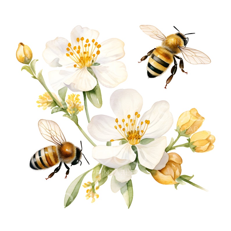16 Bees in Flowers Clipart, Bees Clipart, Printable Watercolor Clipart ...
