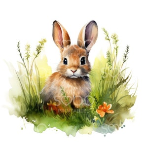 Bunny in Grass Clipart - 13 High Quality Jpgs, Digital Download, High ...
