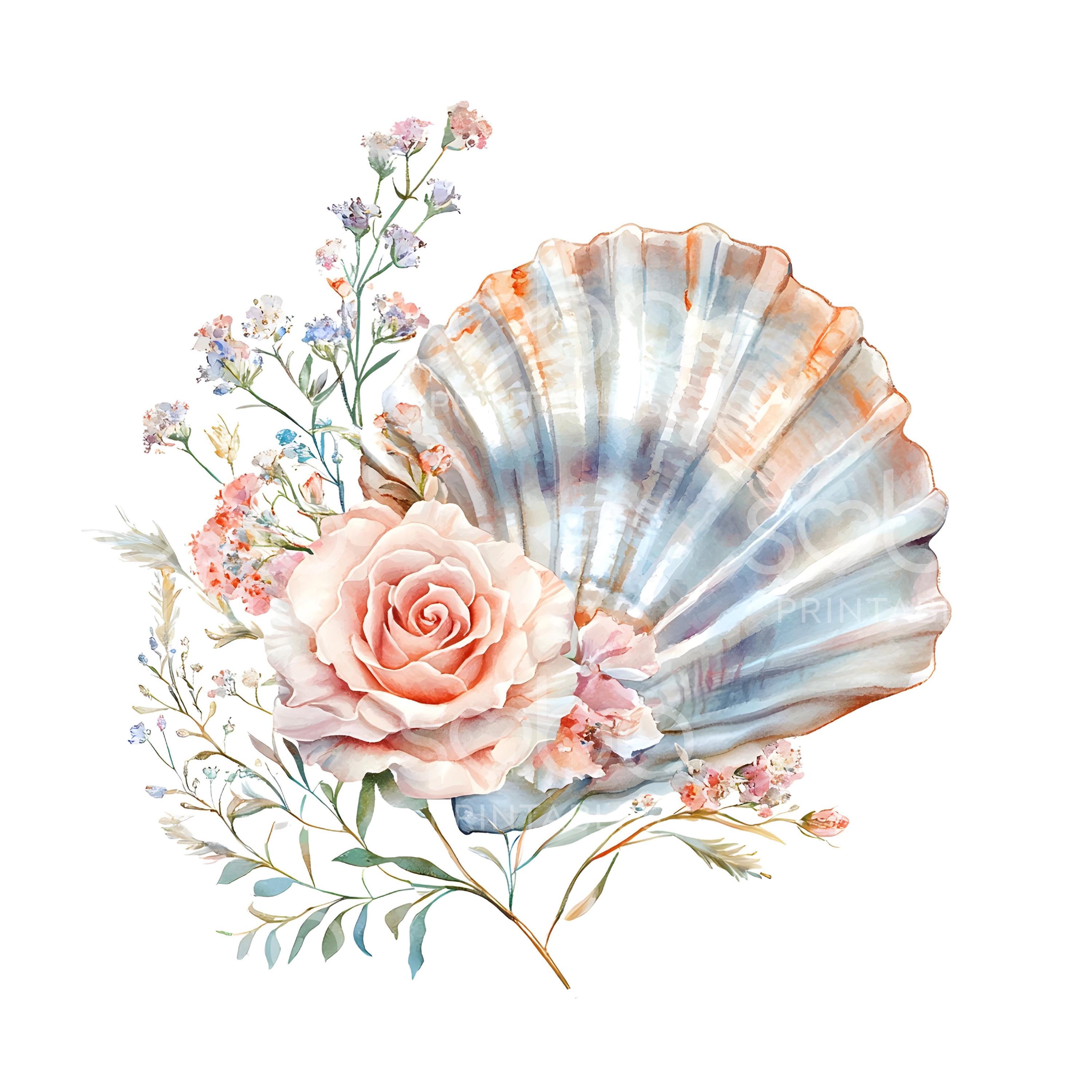18 Floral Rose Sea Shell Clipart, Seashell Art, Printable Watercolor ...