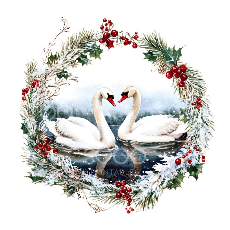 24 Xmas Lake Swans Clipart, Christmas Lake Swans, Christmas Swans ...