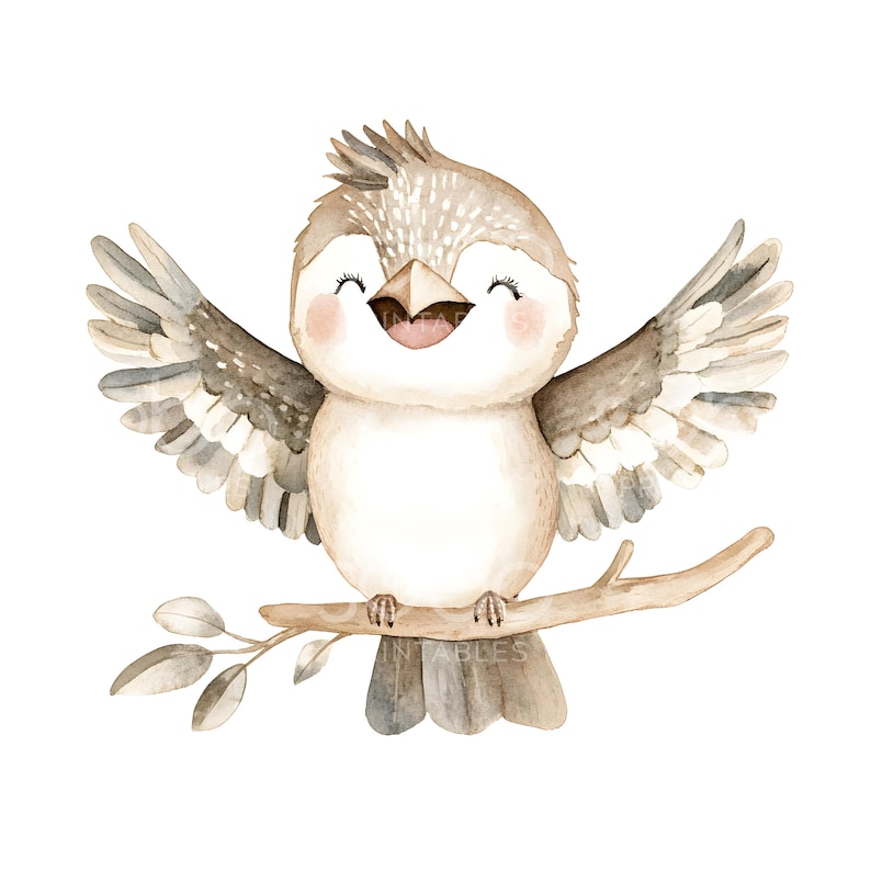 12 Australian Animals Clipart, Cute Aussie Animals, Koala, Kangaroo ...
