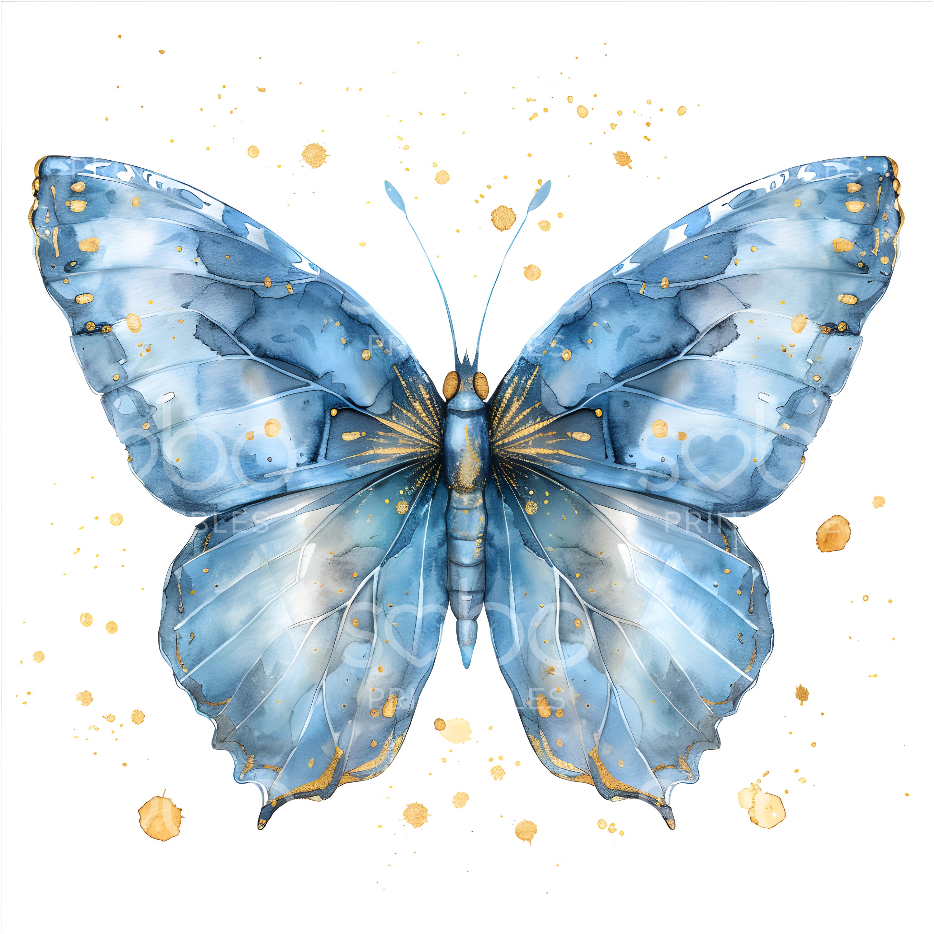 14 Blue Butterfly Clipart, Blue Gold Butterfly, Wall Art, Watercolor ...