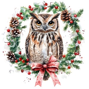 13 Christmas Wise Owl Wreath Clipart, Owl Clipart, High Quality Jpgs ...
