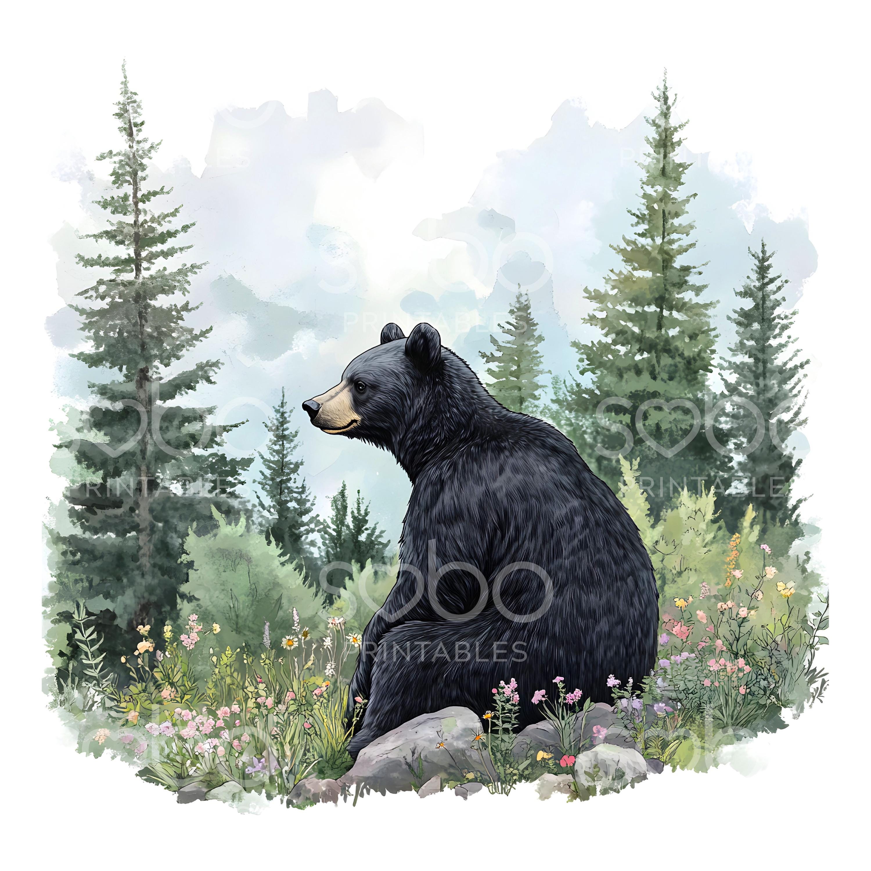 24 Black Bear Sitting Clipart, Black Bear, Mountain Forest Art ...