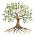 25 Tree of Life With Roots Clipart, Oak Family Tree, Printable ...