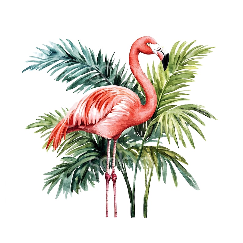 19 Tropical Flamingo Clipart, Floral Flamingo, Tropical Watercolor Art ...