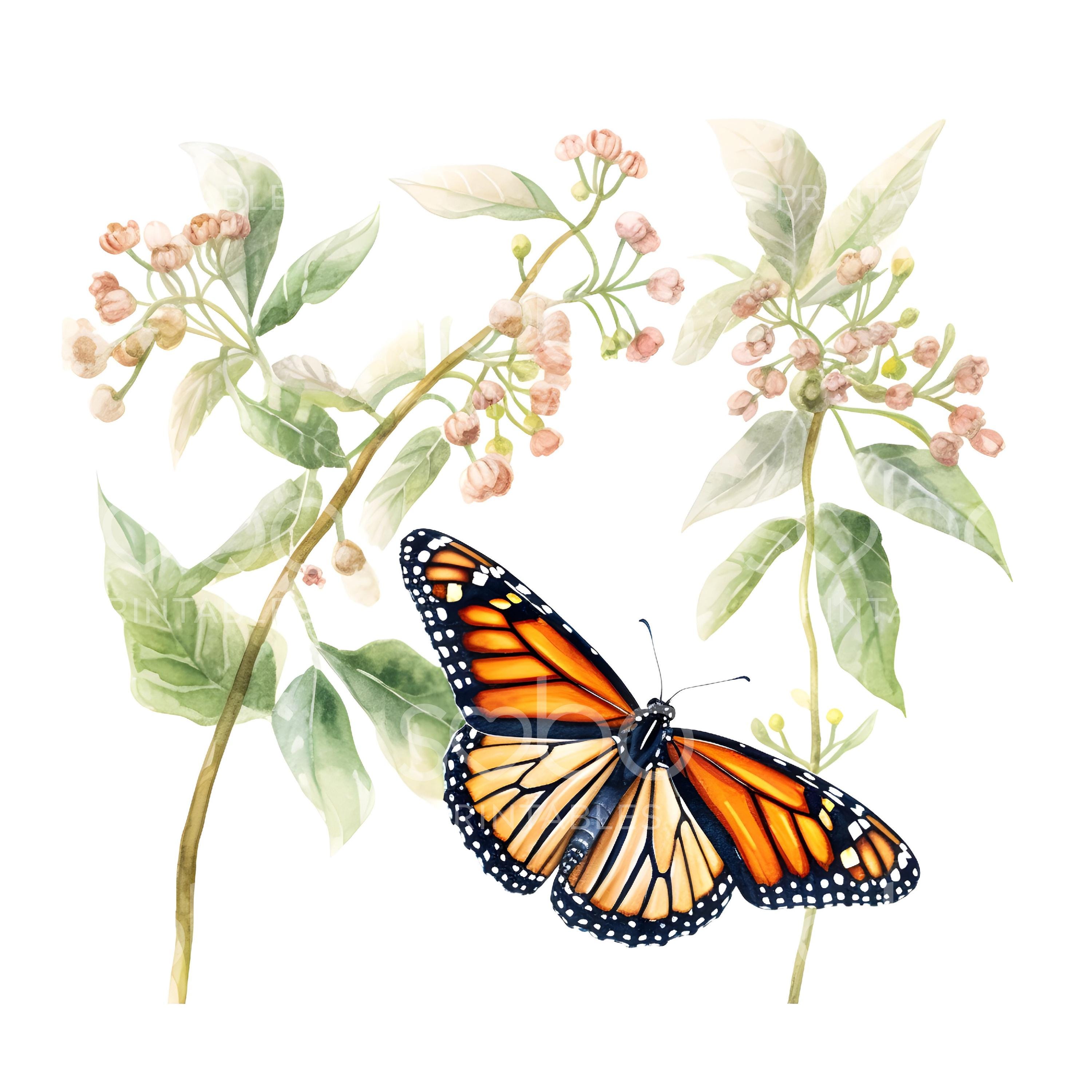 22 Monarch Butterfly Clipart, Floral Butterfly, Printable Watercolor ...