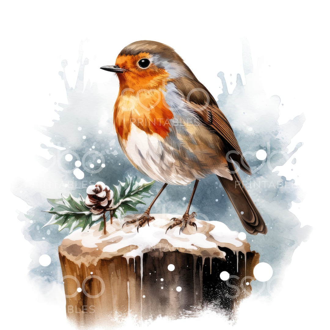 Winter Robin Clipart - 12 High Quality Jpgs, Digital Paper Crafting ...