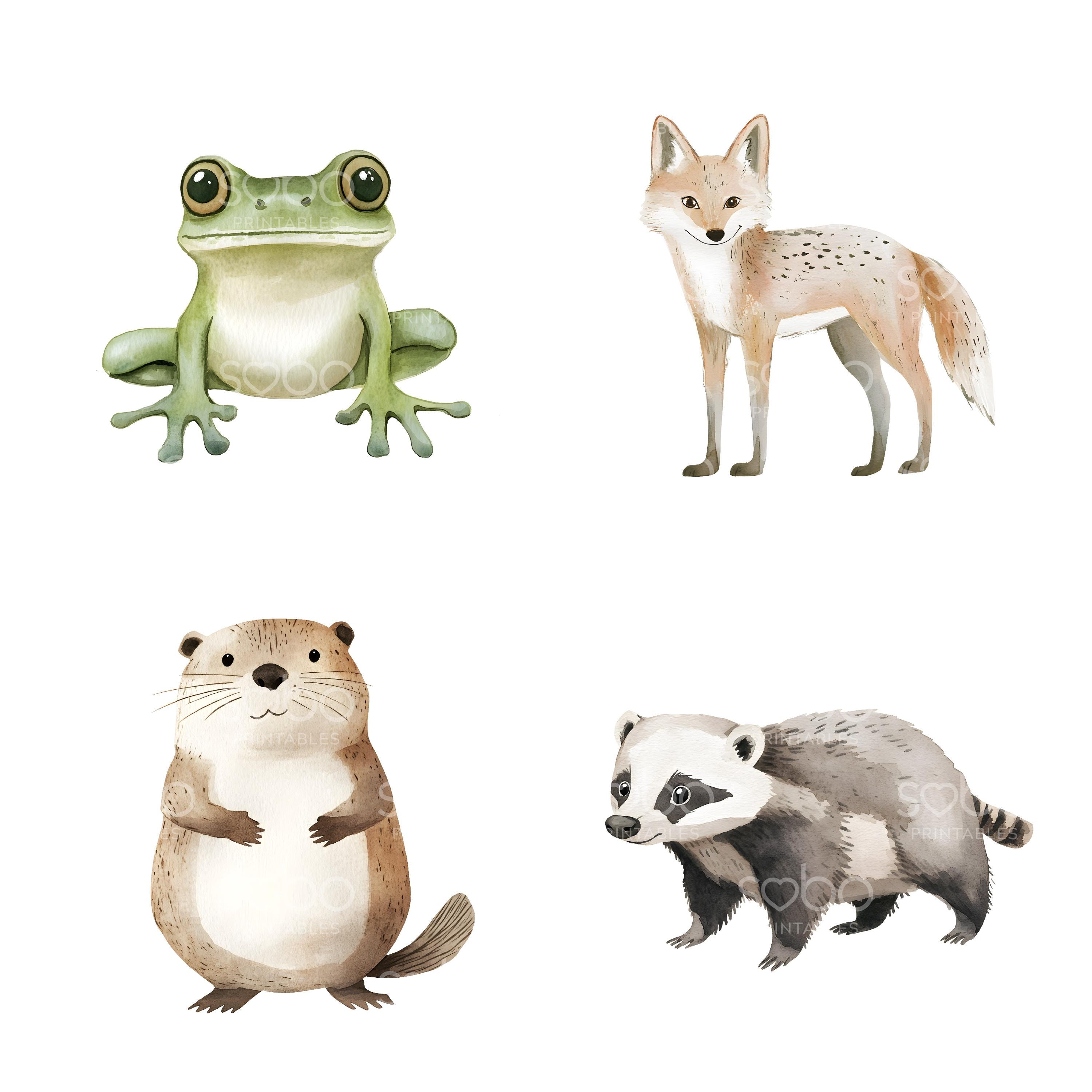 22 Woodland Animals Clipart, Bear, Fox, Nursery Art, Forest Animals ...