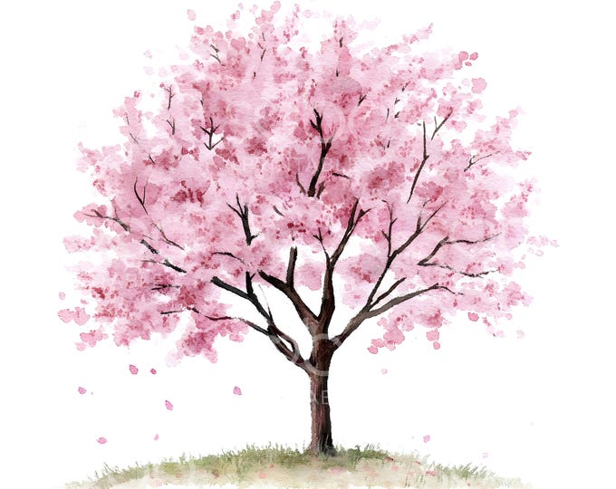 10 Japanese Cherry Blossom Tree Watercolor Clipart (sakura) - 10 High ...