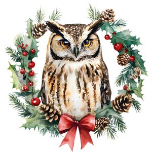13 Christmas Wise Owl Wreath Clipart, Owl Clipart, High Quality Jpgs ...