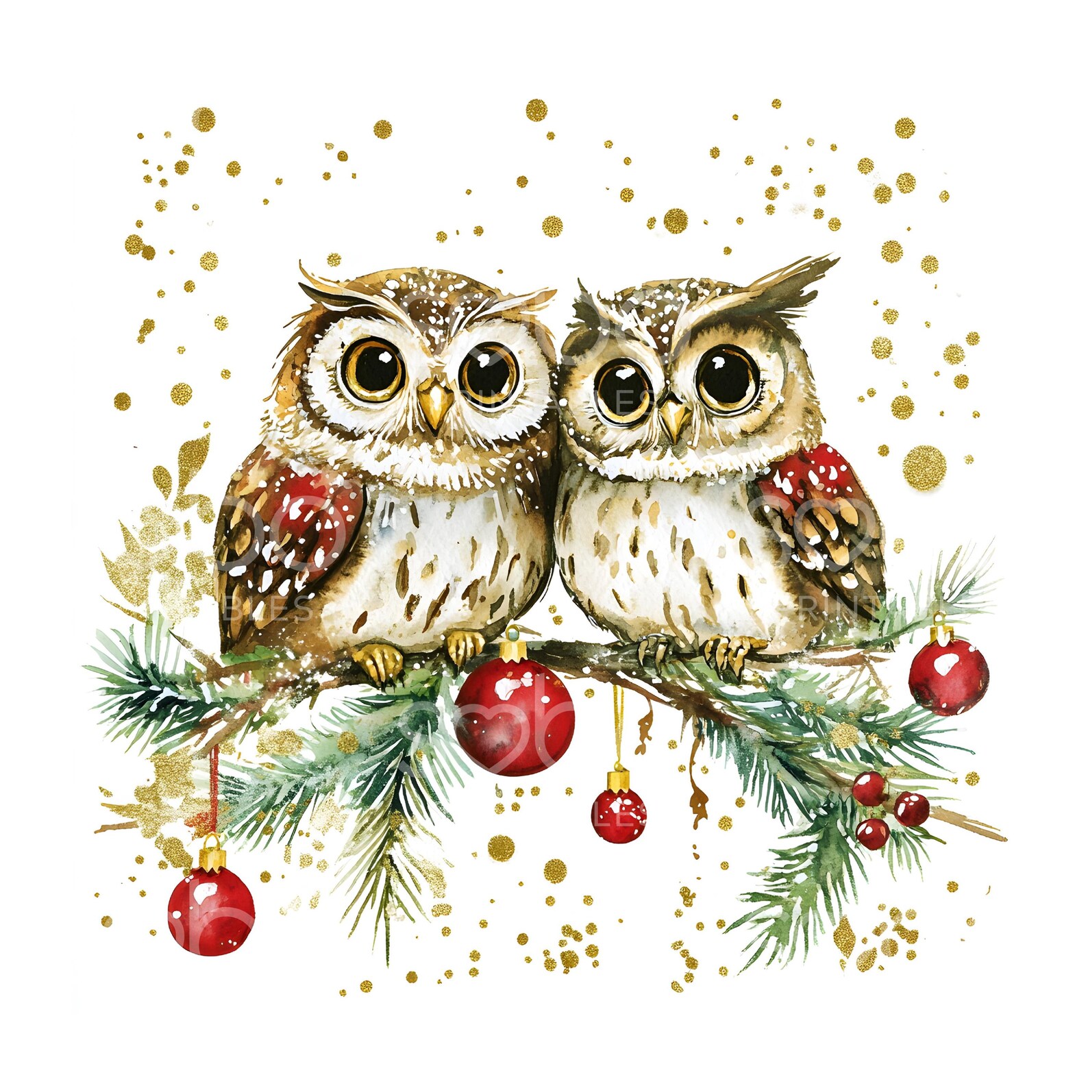 21 Christmas Owls Clipart, Christmas Owls, Christmas Owl Couple ...