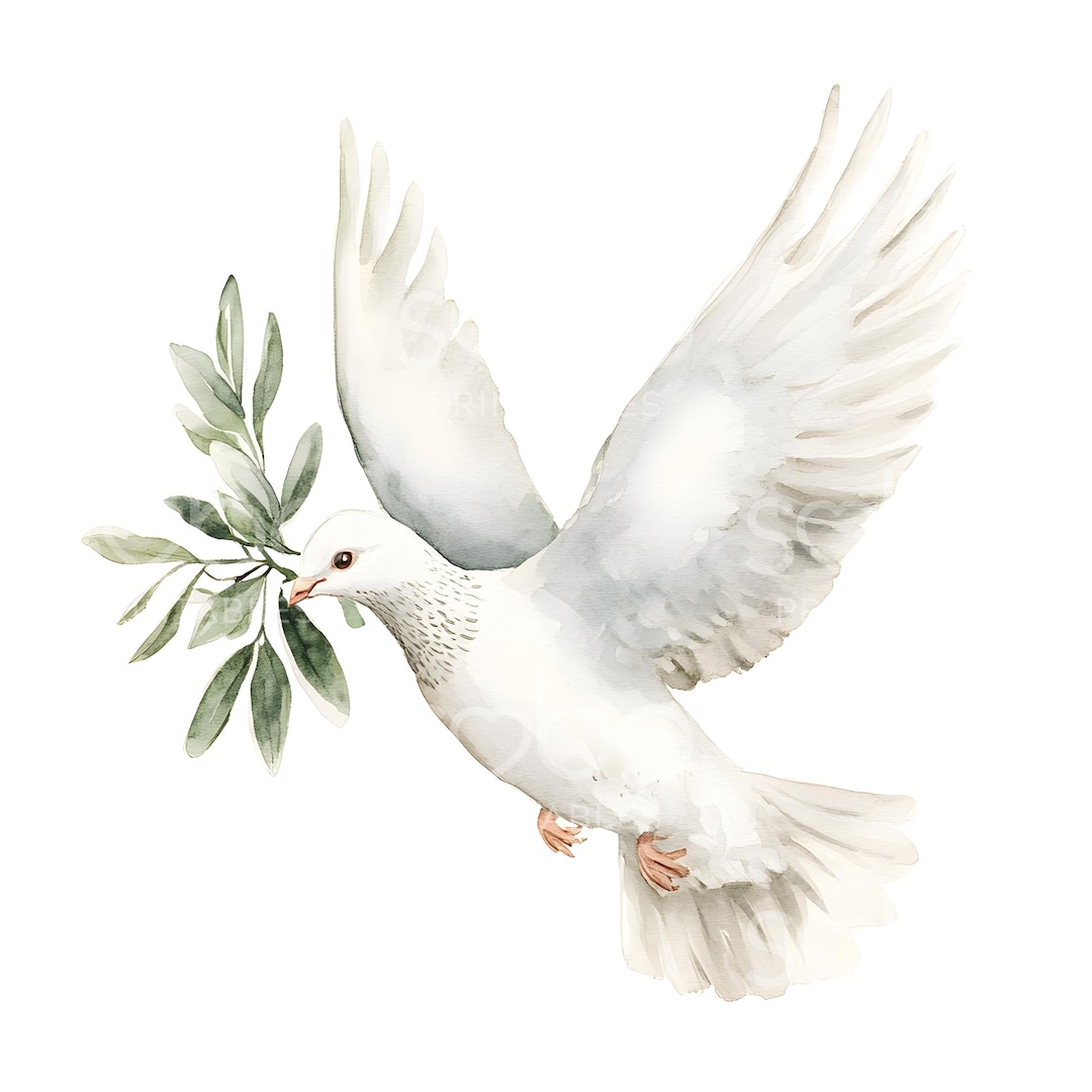 20 Dove Olive Branch Clipart, White Dove, Peace Dove, Printable ...