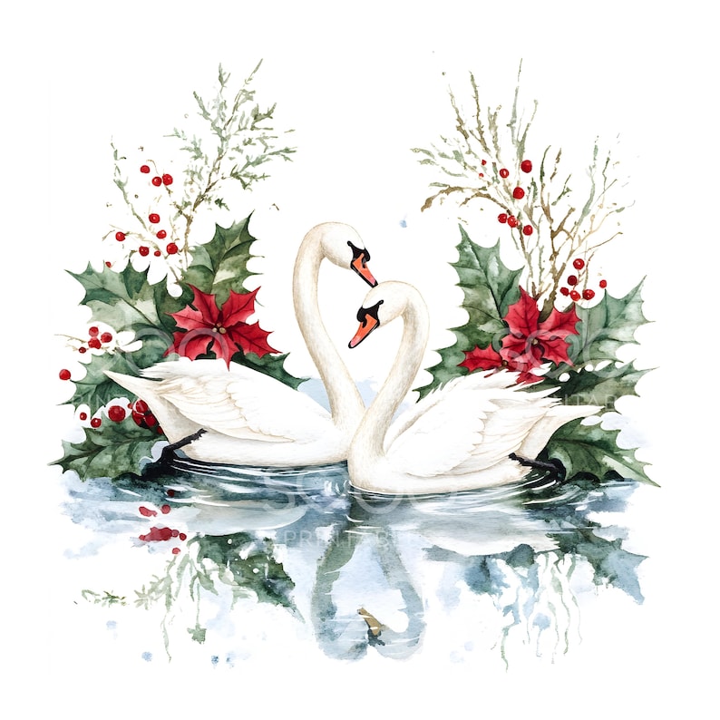 24 Xmas Lake Swans Clipart, Christmas Lake Swans, Christmas Swans ...