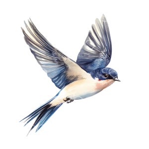 20 Swallow Bird Clipart, Swallow Birds Art, Watercolor Printable Art ...