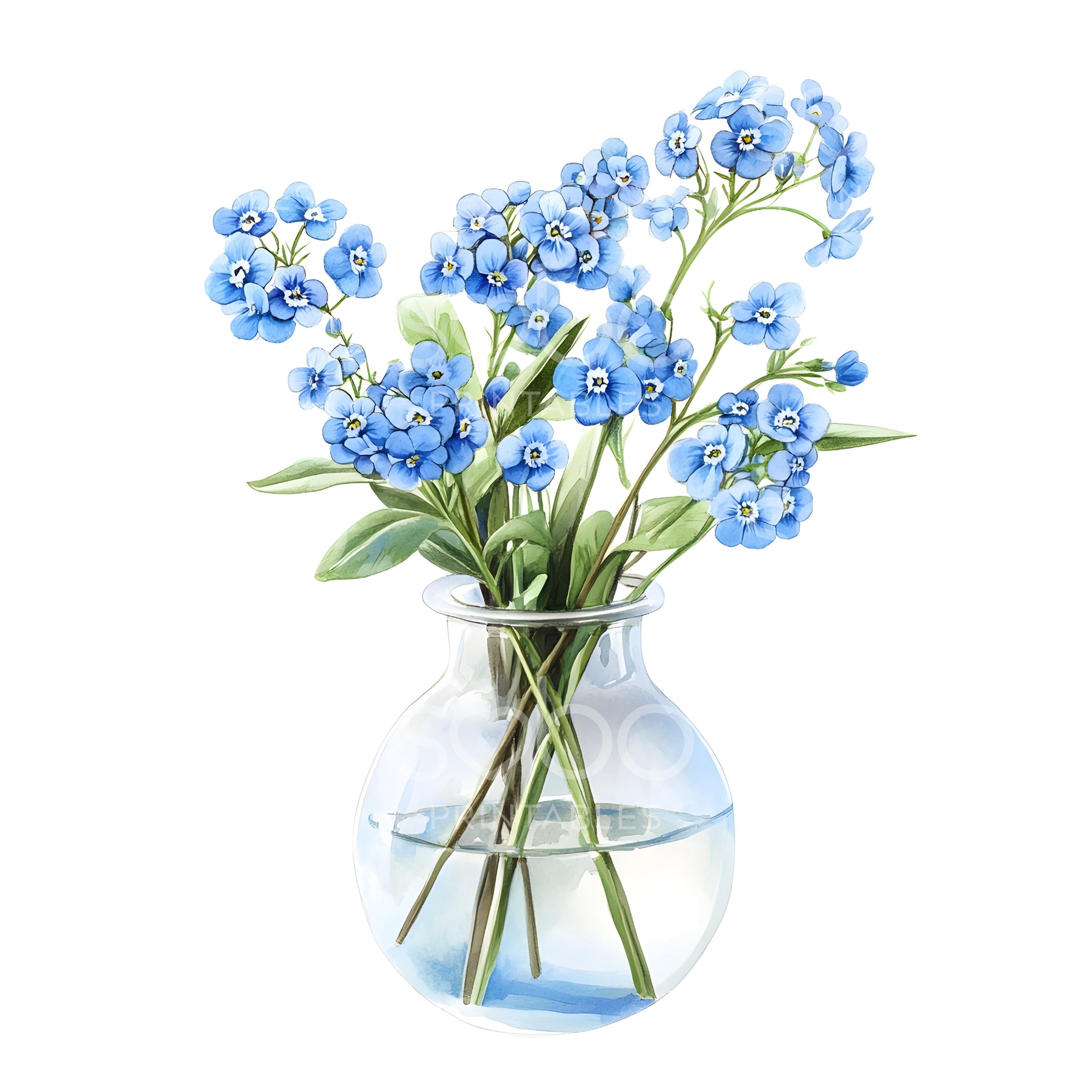 26 Forget Me Not Vase Clipart, Forget-me-not Flowers, Printable ...