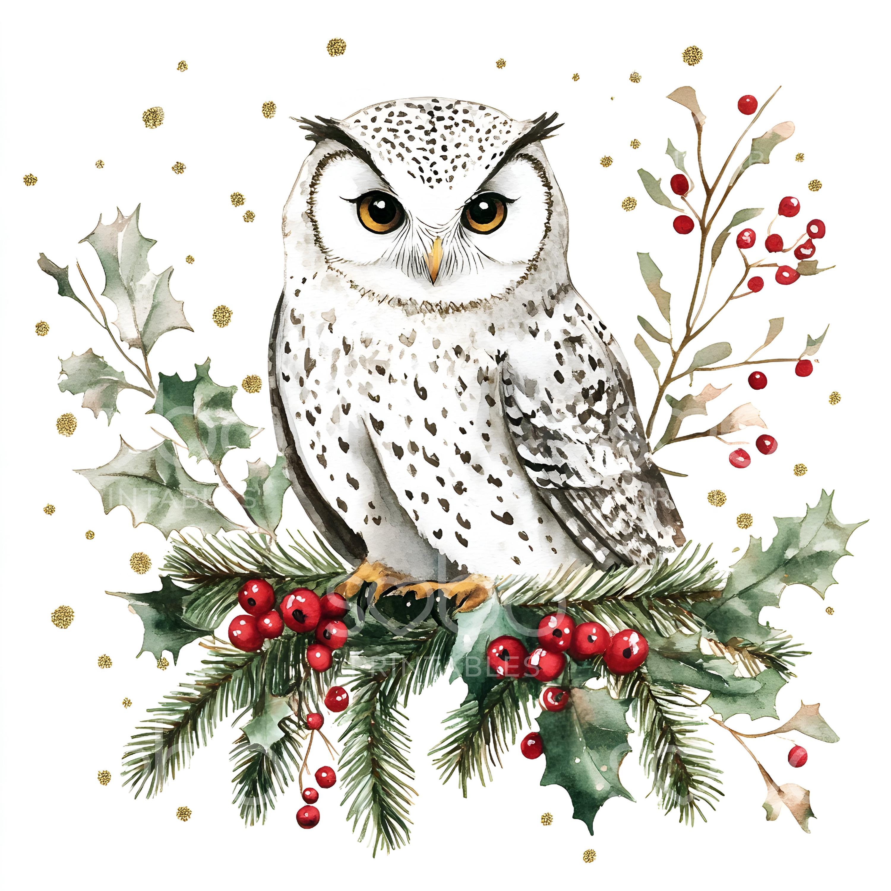16 Winter Snow Owl Clipart, Winter Owl, Cute Owl, Barn Christmas Card ...