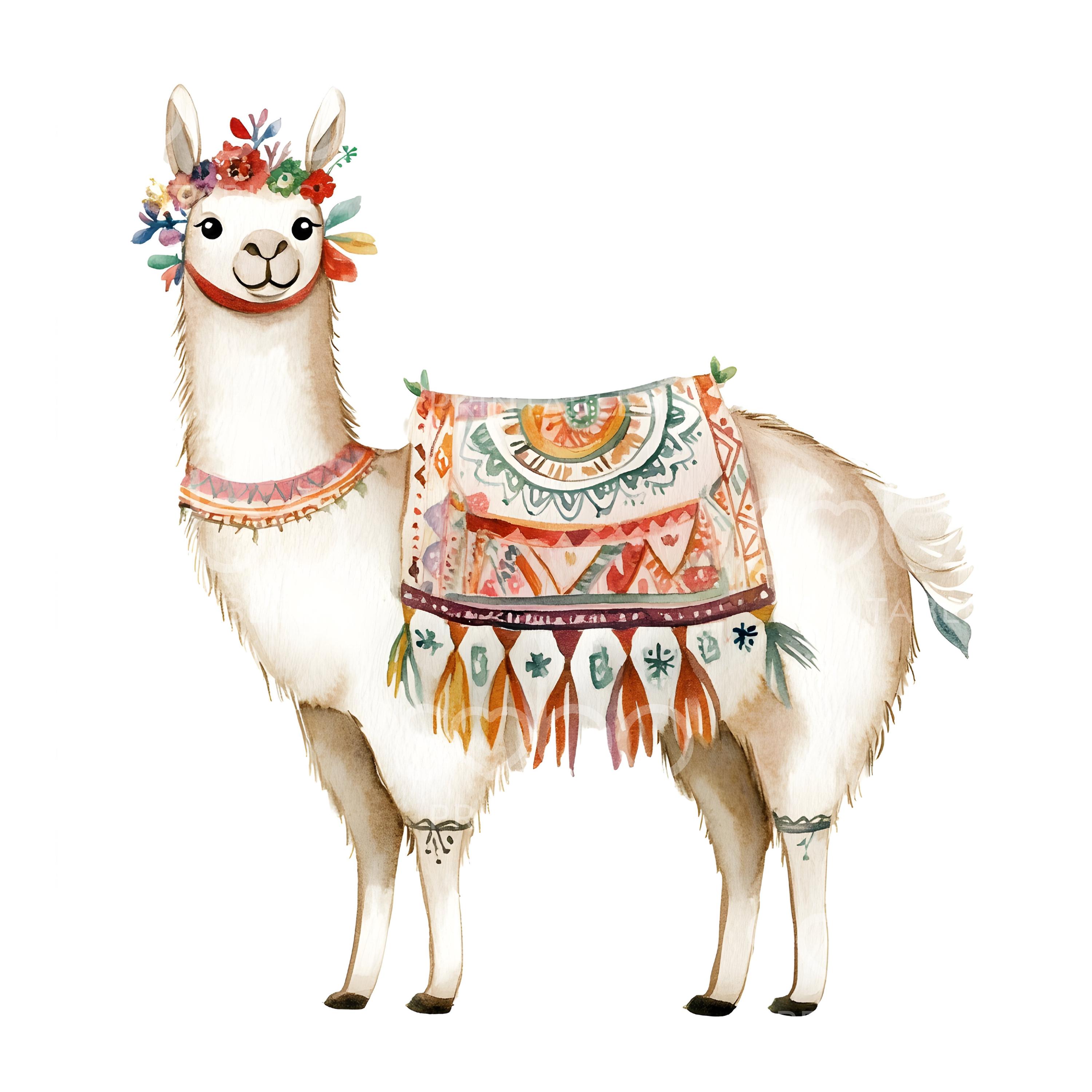 18 Traditional Llama Clipart, Cute Llama Art, High Quality Jpgs ...