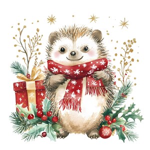 22 Christmas Hedgehog Clipart, Cute Hedgehog, Watercolour Christmas ...