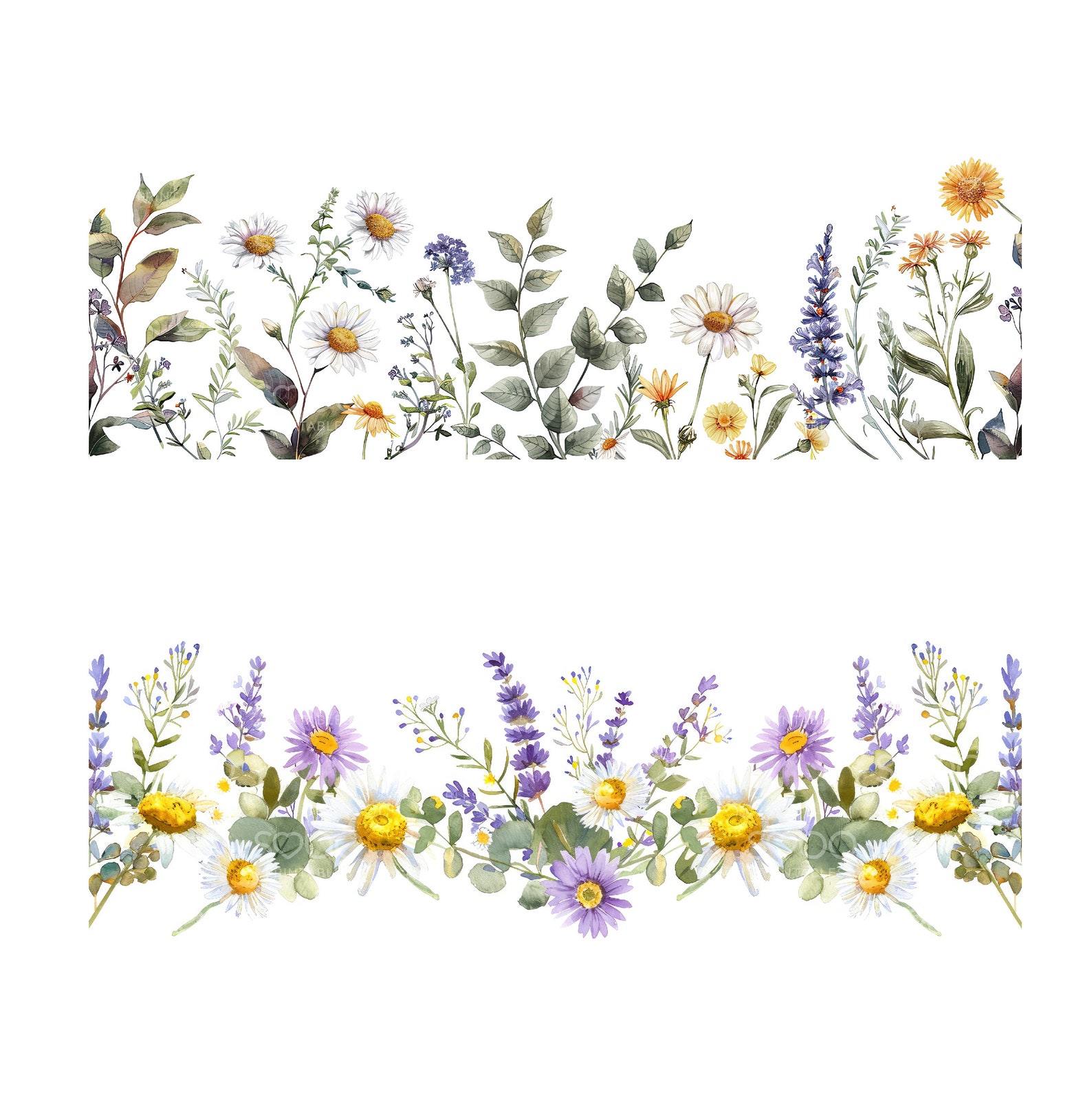 17 Summer Borders Clipart Border, Wildflowers Border Clipart, Digital ...