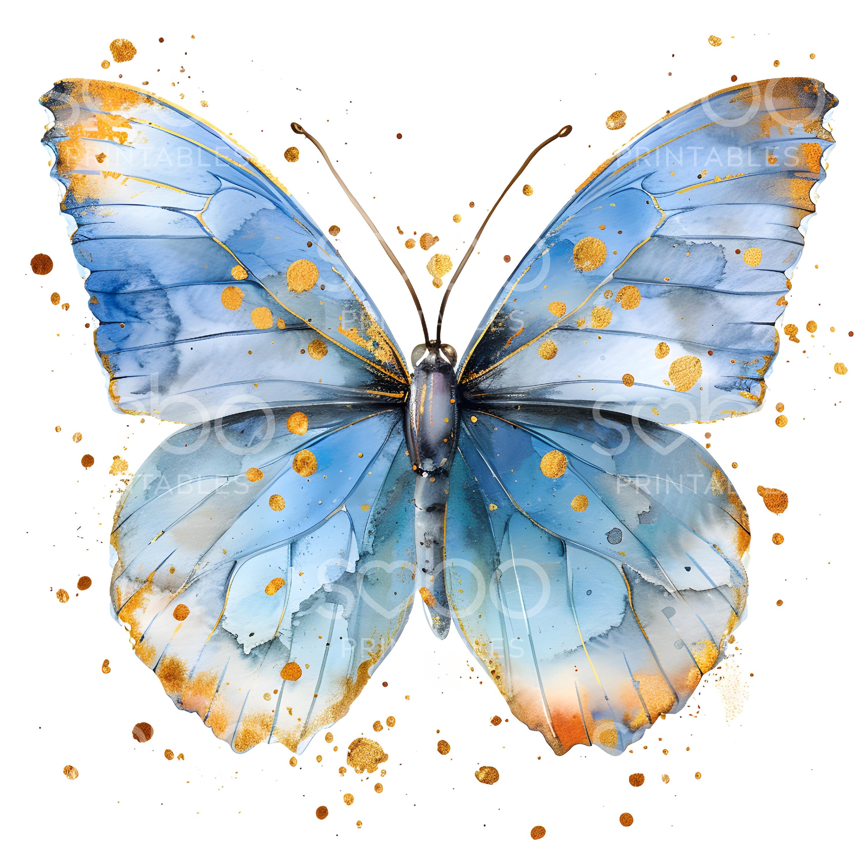 14 Blue Butterfly Clipart, Blue Gold Butterfly, Wall Art, Watercolor ...
