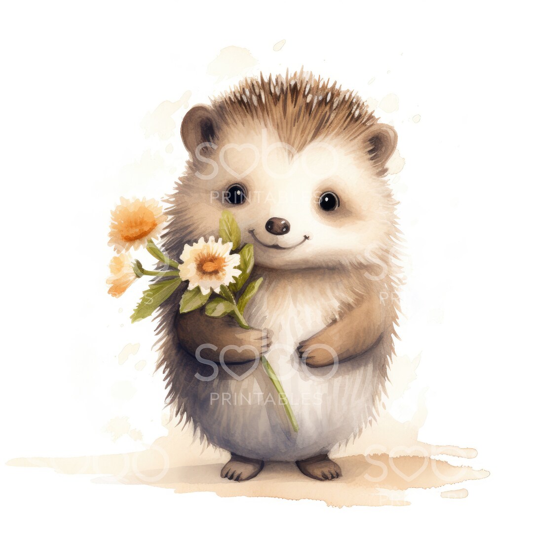 Cute Hedgehogs Clipart - 11 High Quality Jpgs, Digital Planner ...