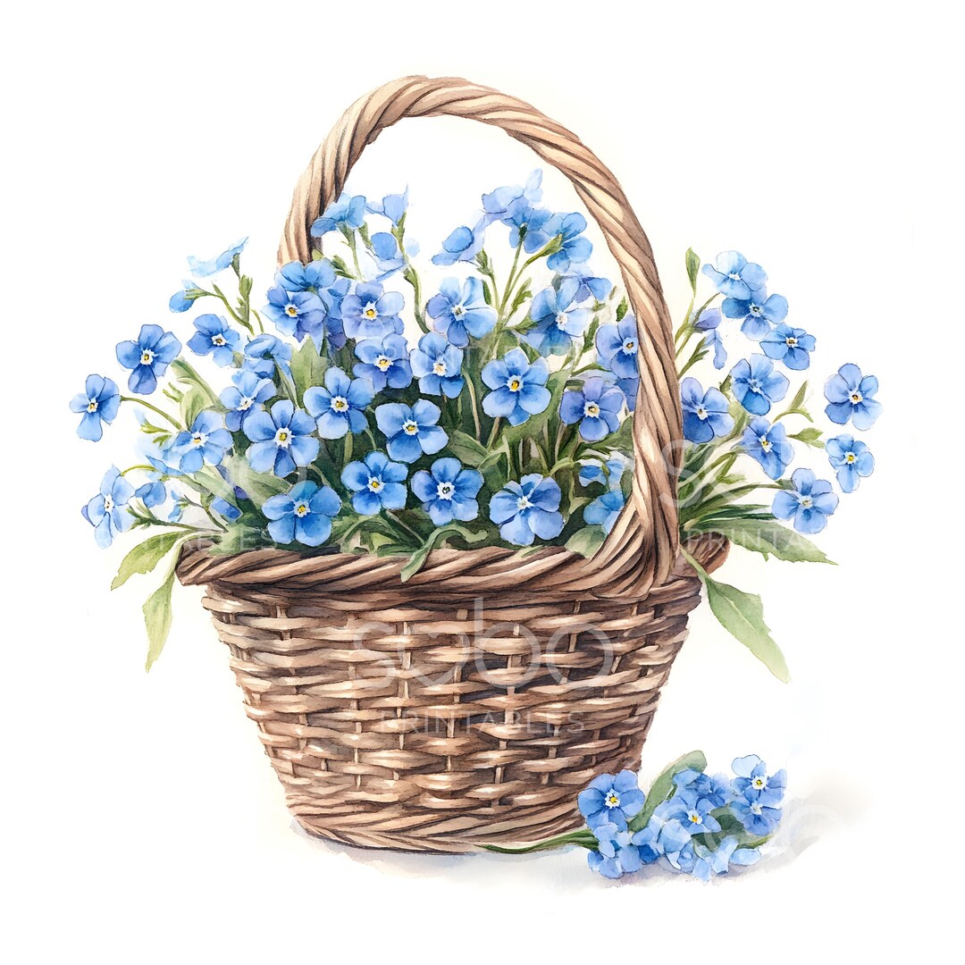 18 Forget Me Not Basket Clipart, Forget-me-not Flowers, Printable ...