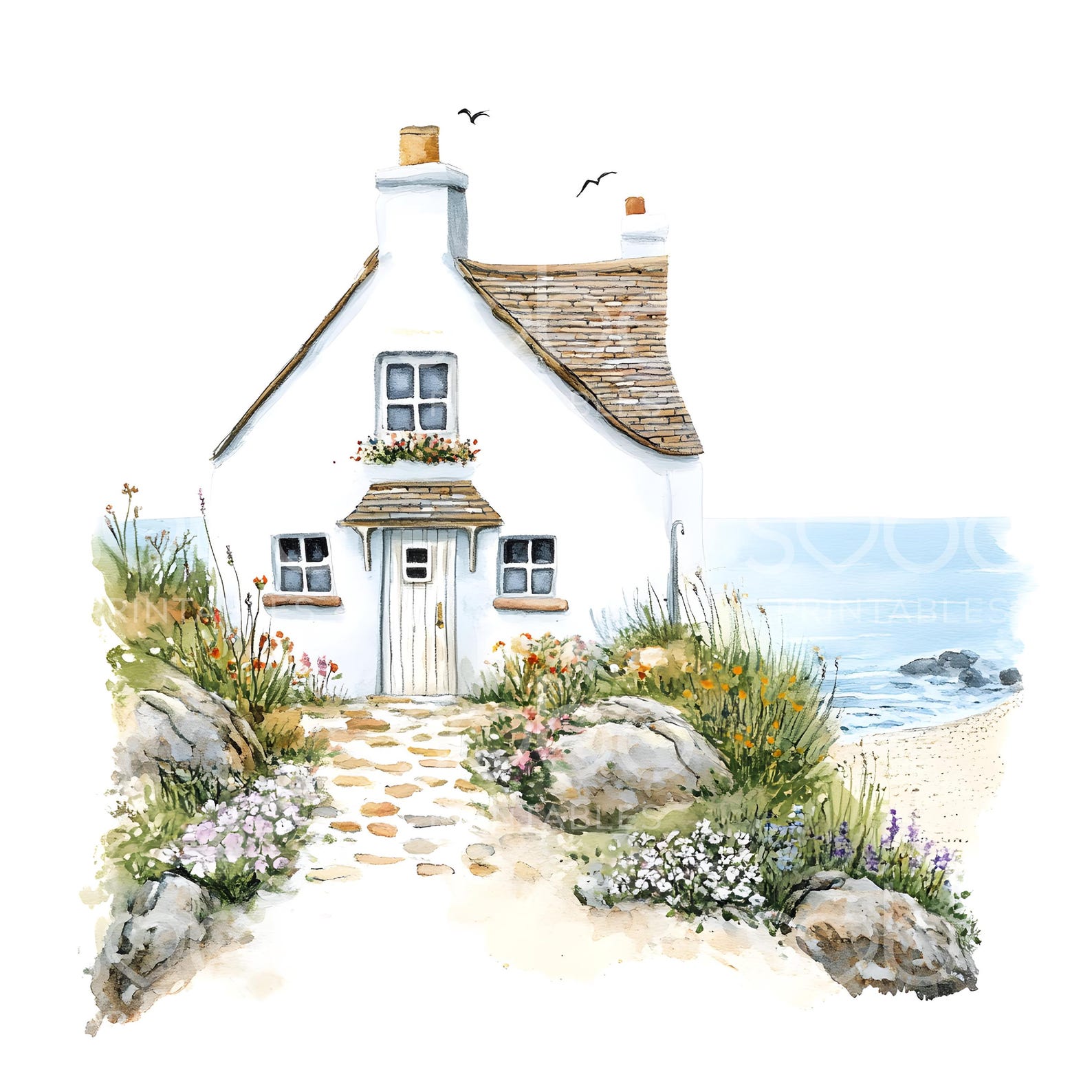 27 Cute Seaside Cottage Clipart, Beach House, High Quality Jpgs ...