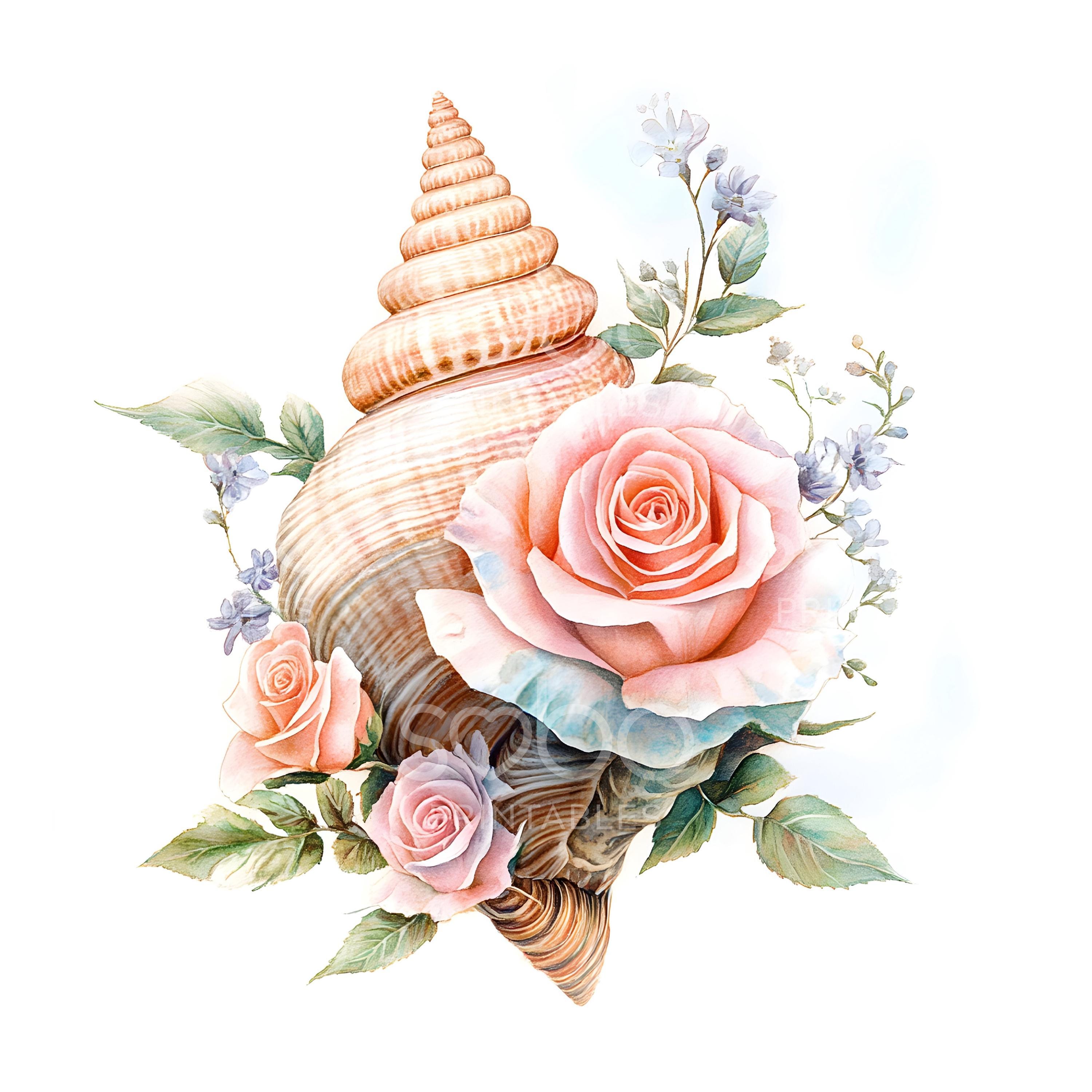 18 Floral Rose Sea Shell Clipart, Seashell Art, Printable Watercolor ...