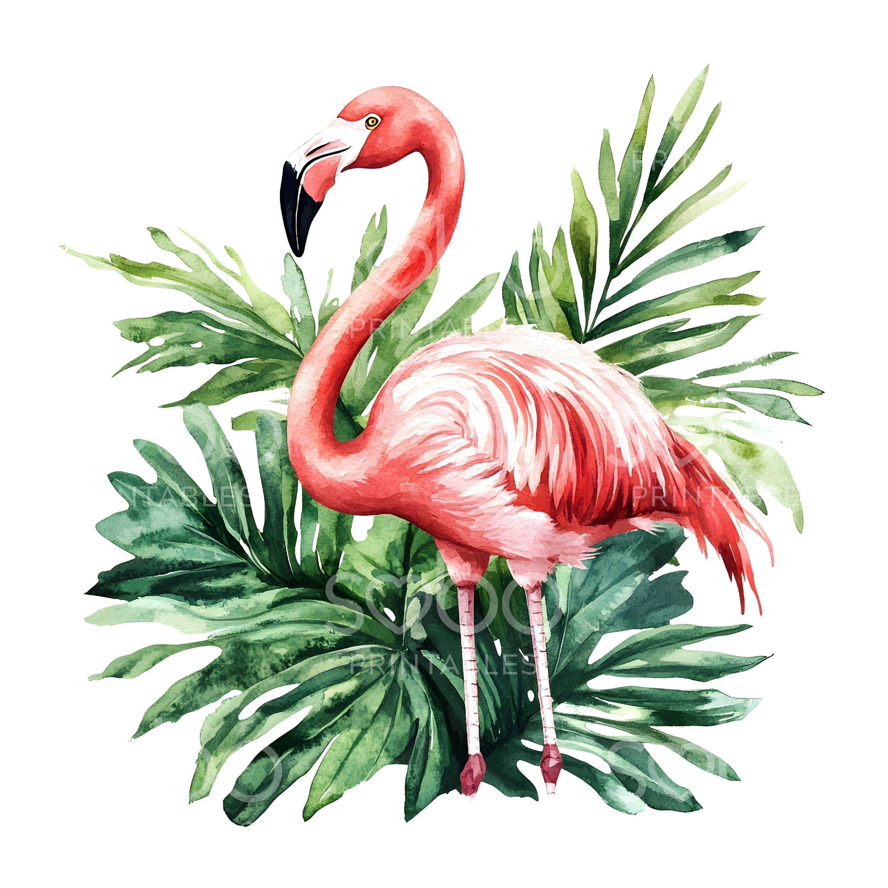 19 Tropical Flamingo Clipart, Floral Flamingo, Tropical Watercolor Art ...
