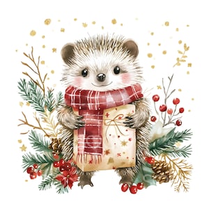 22 Christmas Hedgehog Clipart, Cute Hedgehog, Watercolour Christmas ...