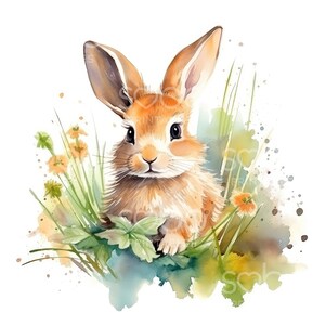 Bunny in Grass Clipart - 13 High Quality Jpgs, Digital Download, High ...