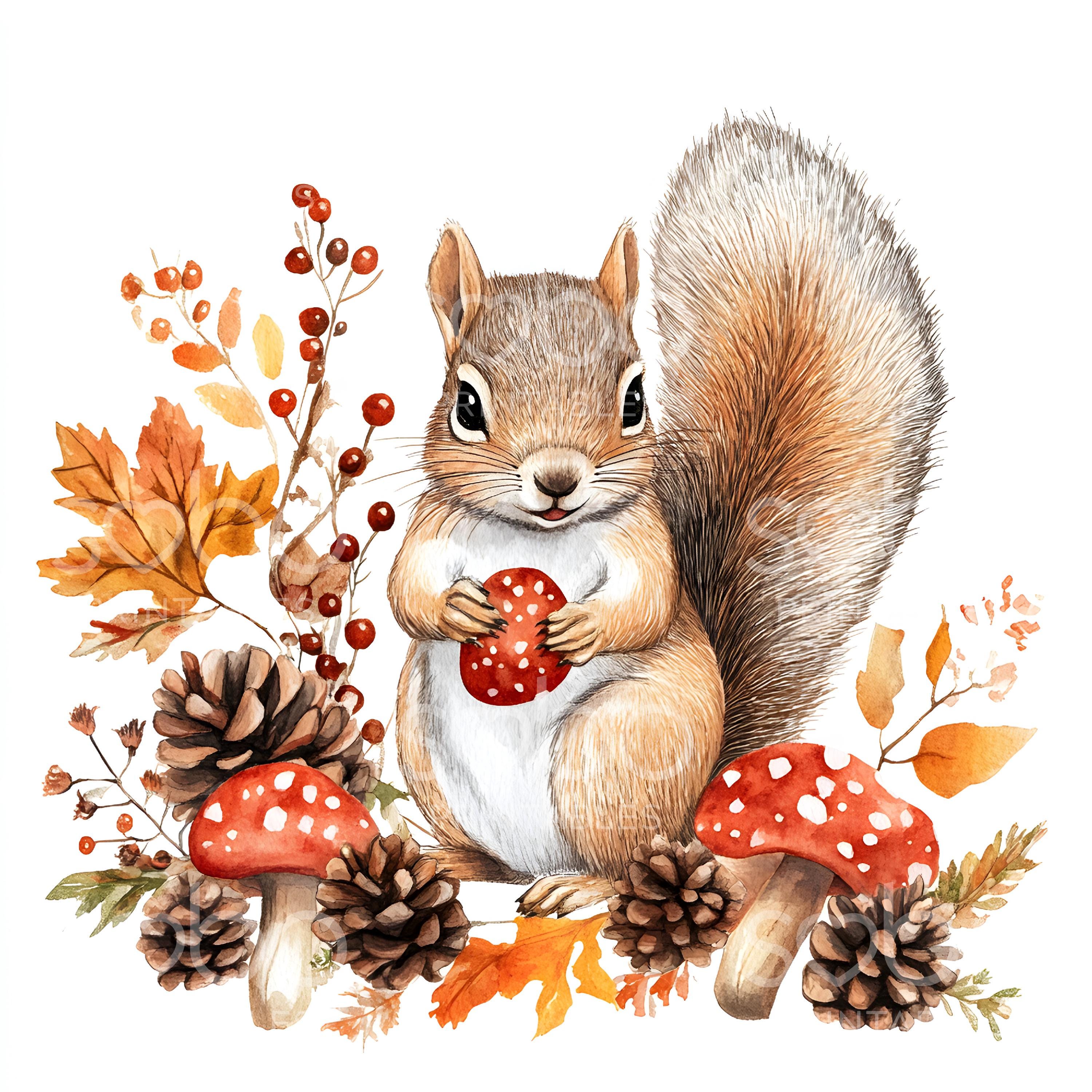 15 Autumn Squirrel Clipart, Mushrooms Bouquet Pine Cones, High Quality ...