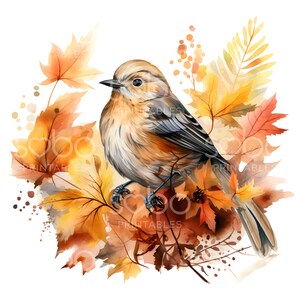 13 Autumn Bird Clipart, Autumn Leaves, Autumnal Clipart, High Quality ...
