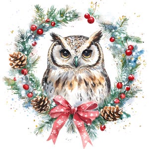 13 Christmas Wise Owl Wreath Clipart, Owl Clipart, High Quality Jpgs ...