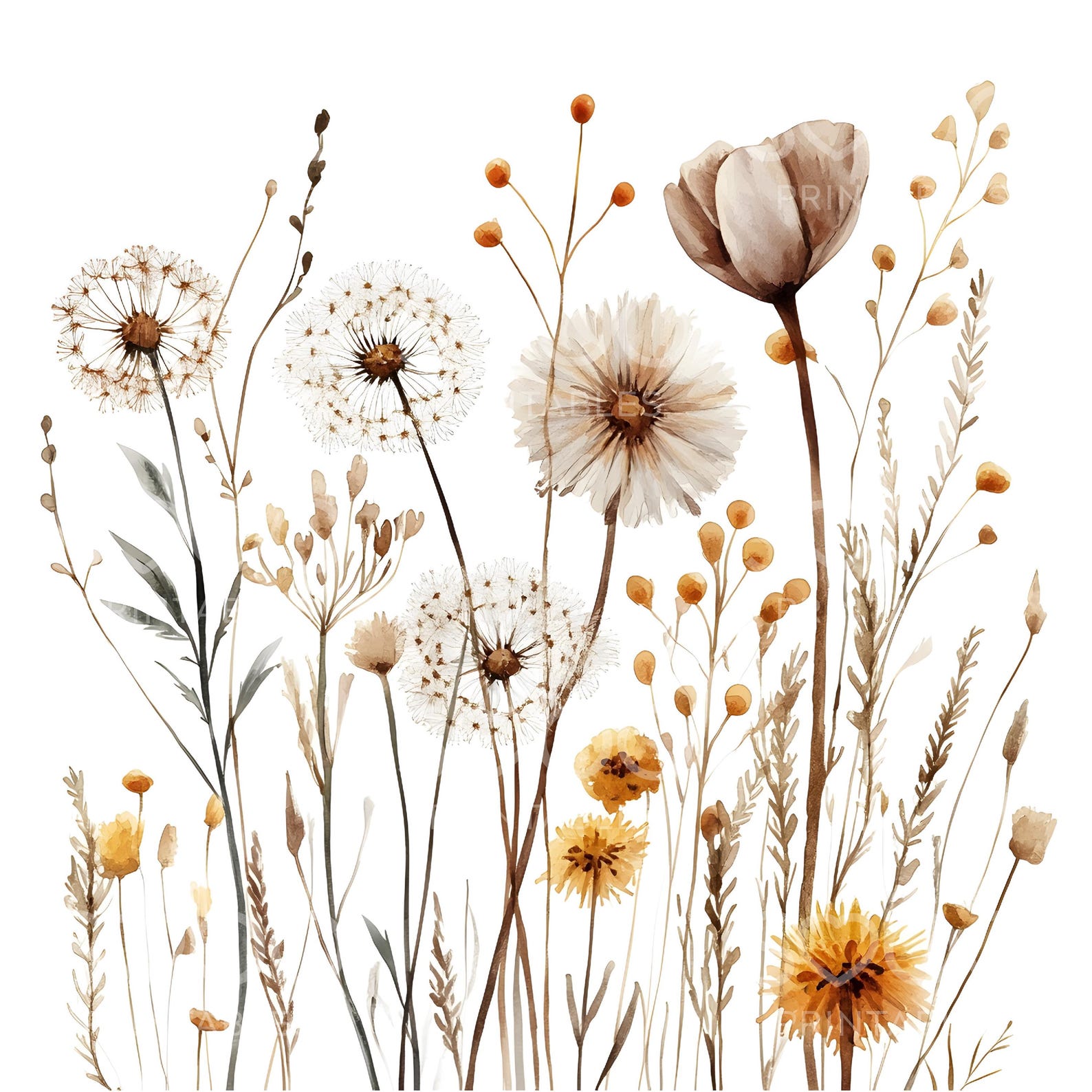 18 Boho Flowers Bouquet Clipart, Pampas, Dried Flowers Wall Art ...