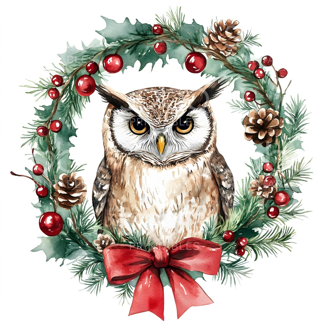 13 Christmas Wise Owl Wreath Clipart, Owl Clipart, High Quality Jpgs ...