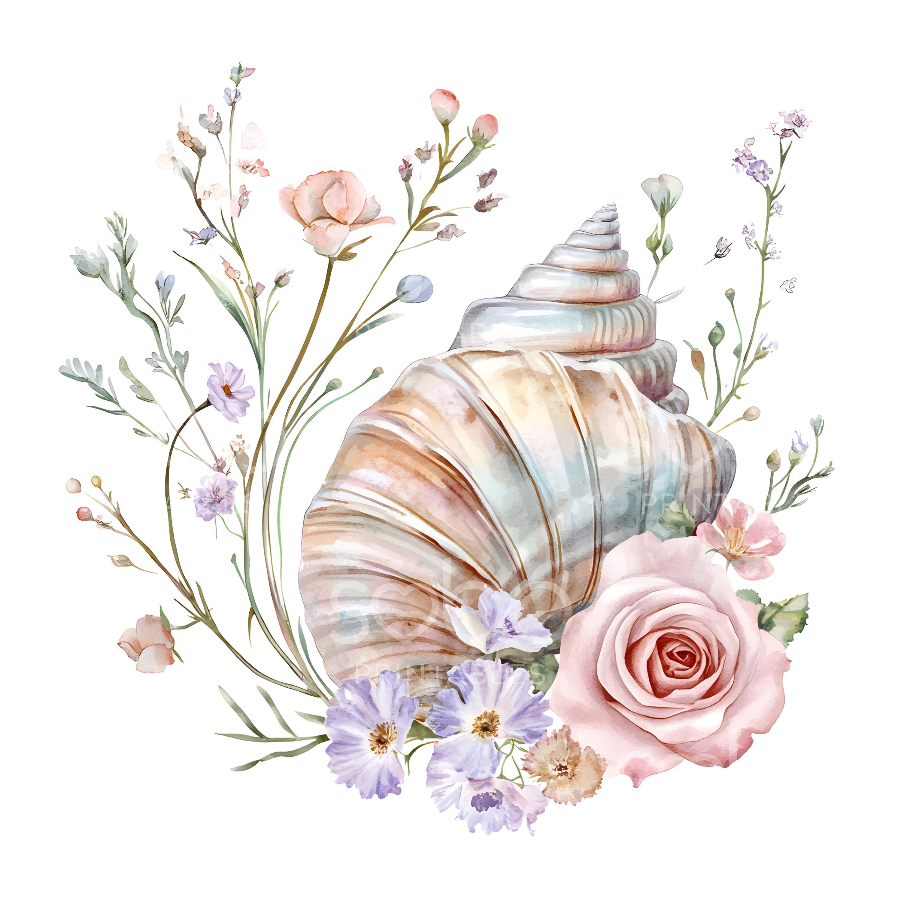 18 Floral Rose Sea Shell Clipart, Seashell Art, Printable Watercolor ...