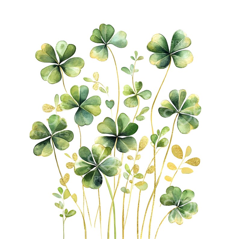 22 Saint Patrick’s Day Gold Clover Leaf Clipart, Shamrock Art ...