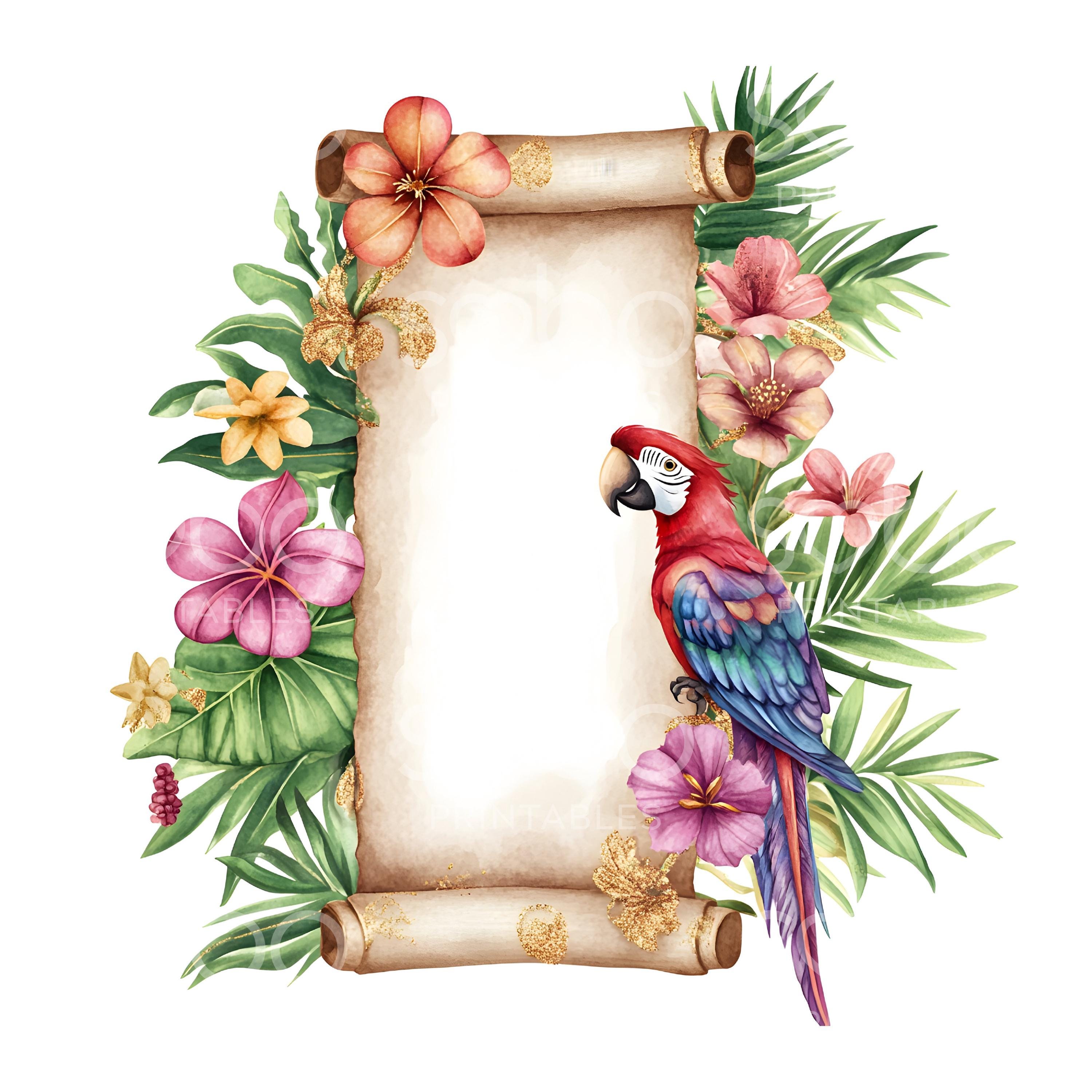 22 Tropical Scroll Clipart, Medieval Scroll, Pirate Parrot Vintage ...
