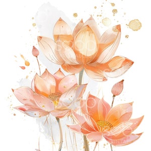 Pink Orange Lotus Clipart - 16 High Quality Jpgs, Pink Gold Flower ...