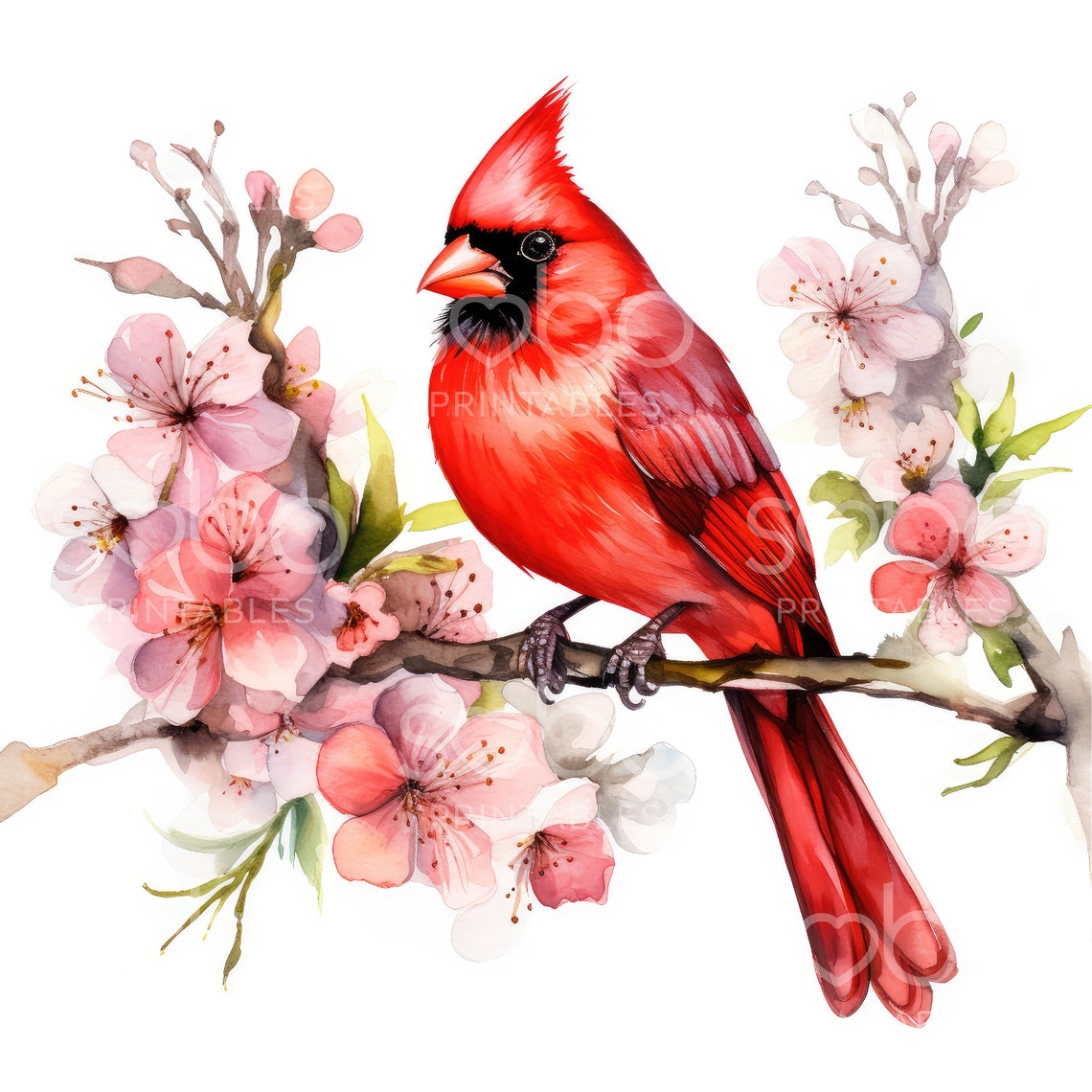 Red Cardinal Clipart 15 High Quality Jpgs, Digital Download, Junk ...