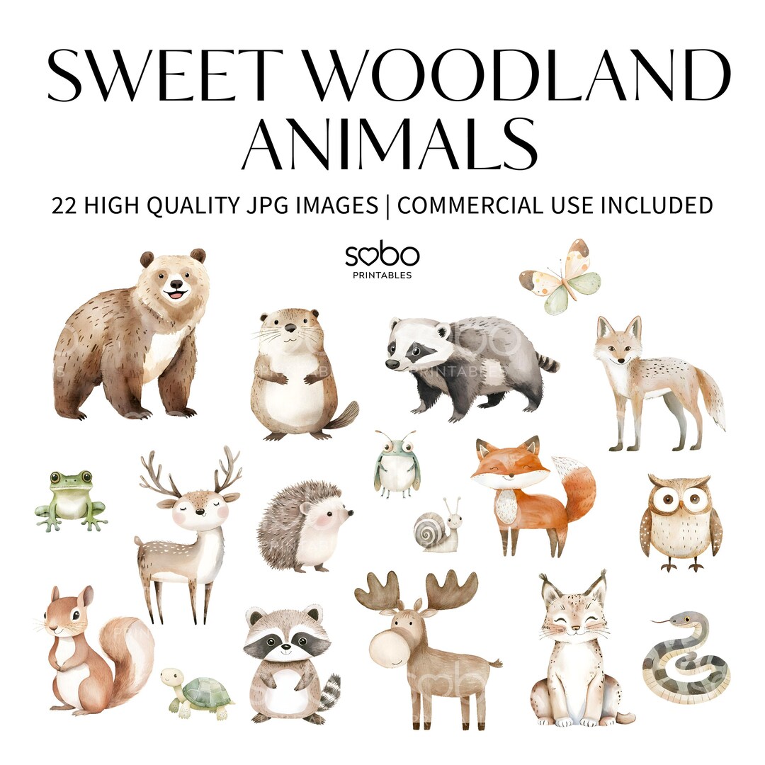 22 Woodland Animals Clipart, Bear, Fox, Nursery Art, Forest Animals ...